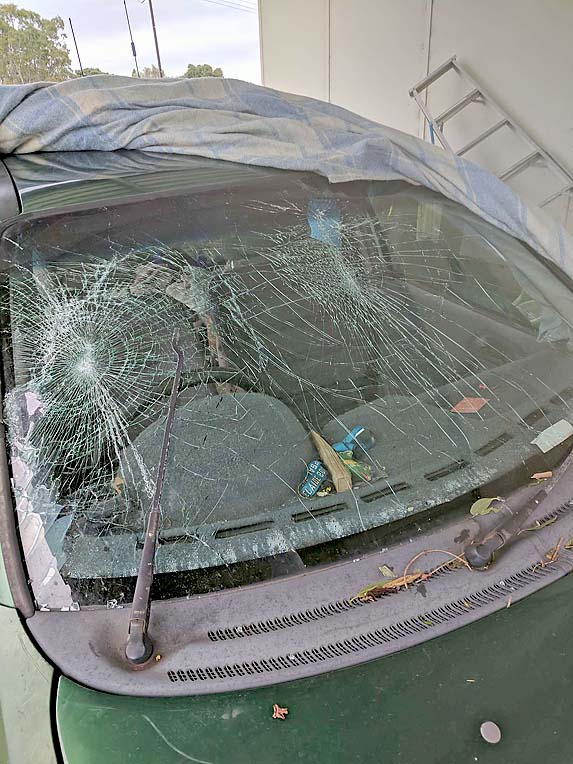 Tornado brings down tree on vehicle - The Border Watch