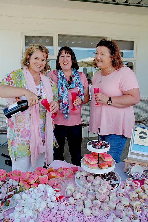 Organisers bowled over by pink stumps support - The Border Watch