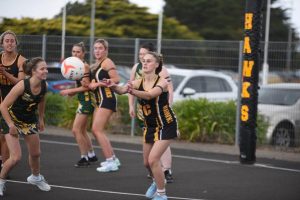 Mid South Eastern Netball Association Round 1 results - The Border Watch