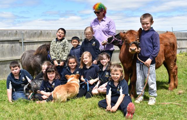 Animals teach students life skills - The Border Watch