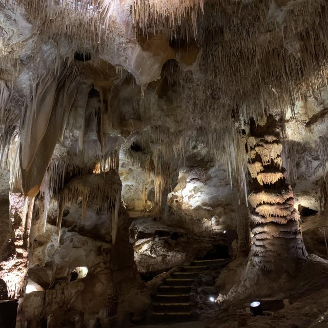 Tantanoola Caves recognition for impressive display - The Border Watch