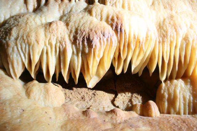 Tantanoola Caves recognition for impressive display - The Border Watch