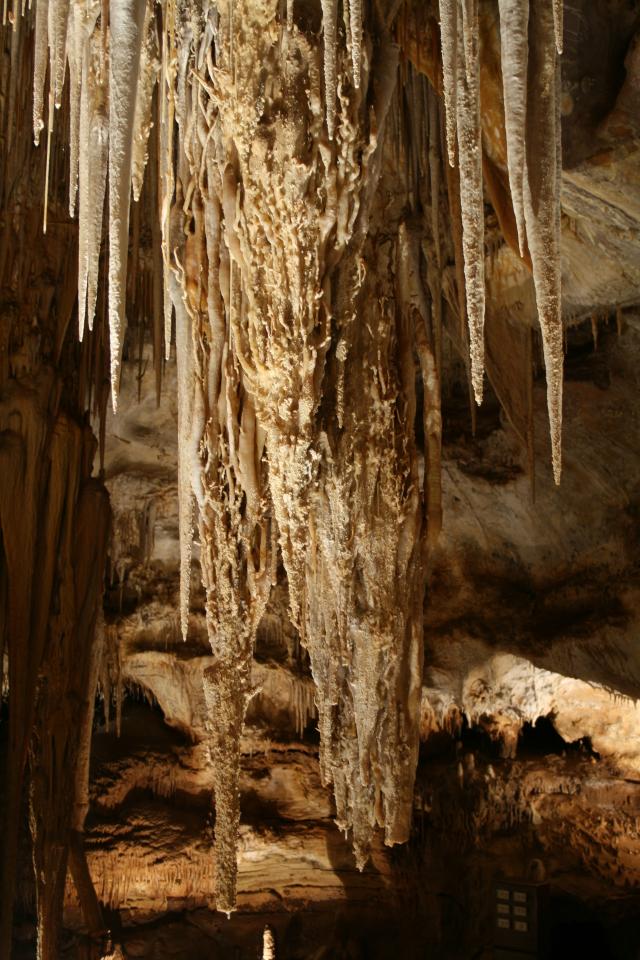 Tantanoola Caves recognition for impressive display - The Border Watch