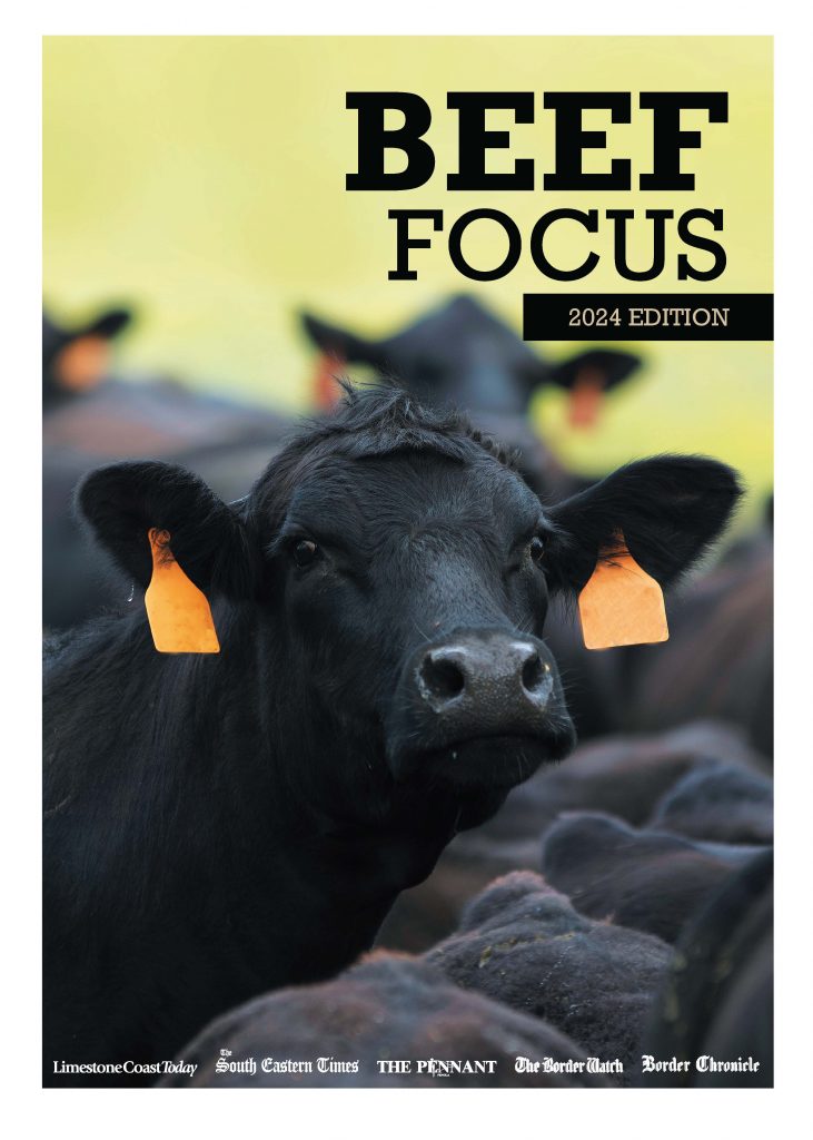 Beef Focus 2024 - The Border Watch