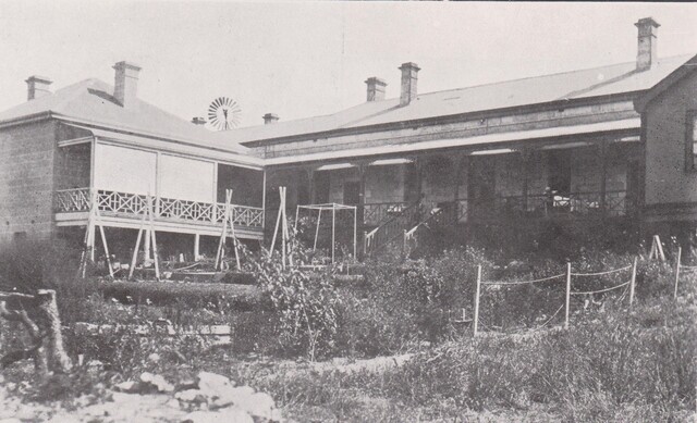 The legacy of Doctor Thyne - The Border Watch