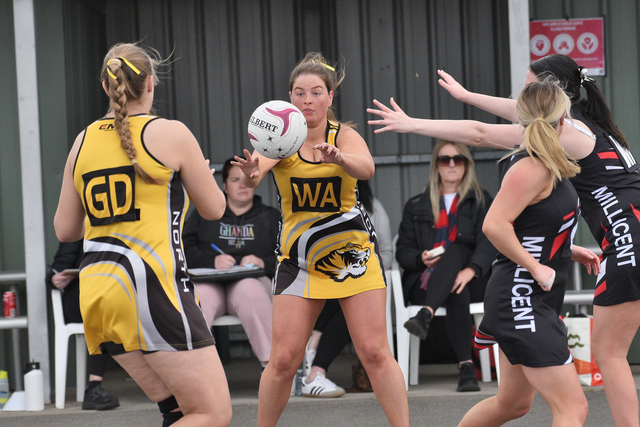 Mixed results for LC senior netball - The Border Watch