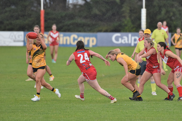 Football action continues across region - The Border Watch