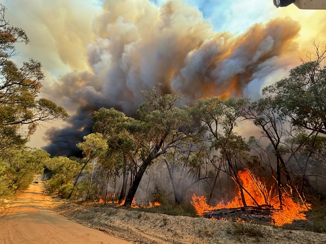 Firies head over the border - The Border Watch