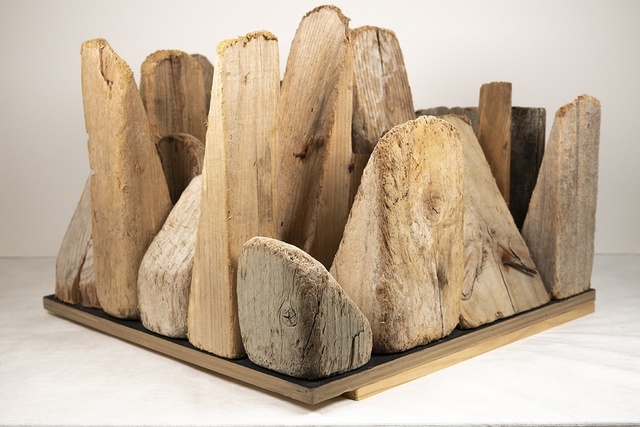 Double exhibition opening for Riddoch - The Border Watch