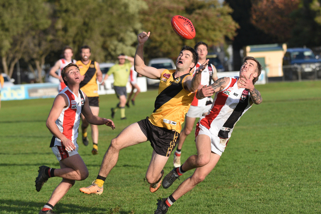 First quarter makes a difference - The Border Watch