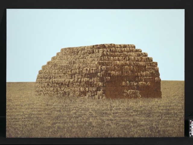Exhibition opens at Riddoch - The Border Watch