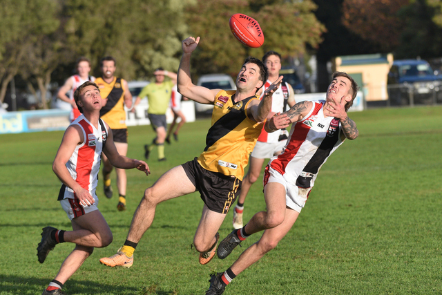 Regular season returns - The Border Watch