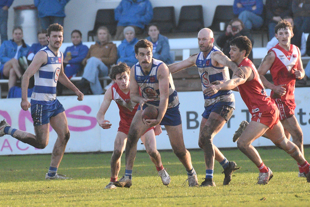 Cats dig claws in for comeback win - The Border Watch