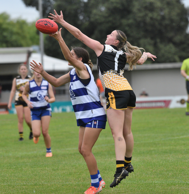 Mundulla and Cats still unbeaten - The Border Watch